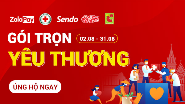 hoi-chu-thap-do-viet-nam-phoi-hop-sendo-zalopay-cung-phat-dong-chuong ...